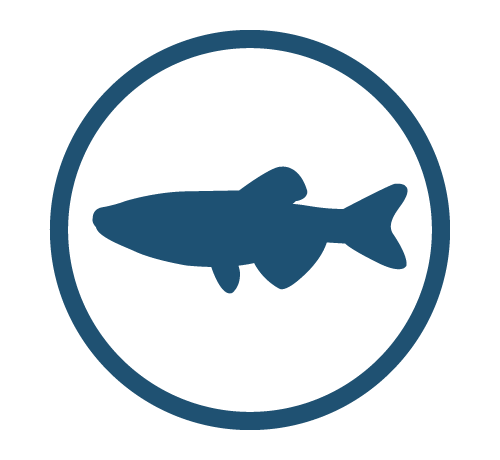 Zebrafish – 67th Annual Drosophila Research Conference