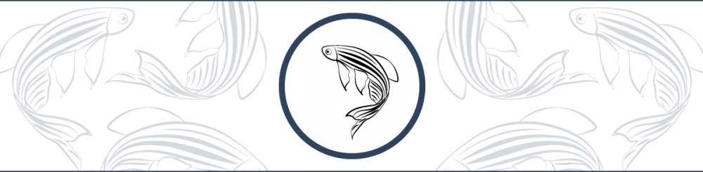Zebrafish – TAGC 2020