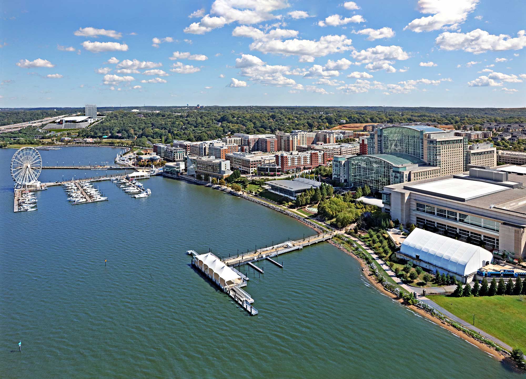 About TAGC 2024 – 25th International Worm Meeting