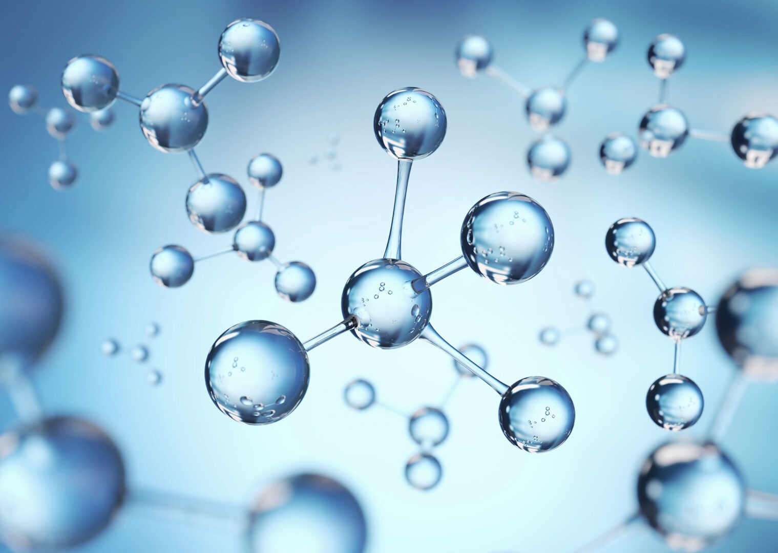 Professional Development – 25th International Worm Meeting