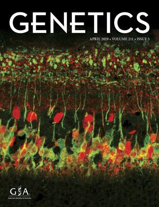 Publications – Genetics Society of America